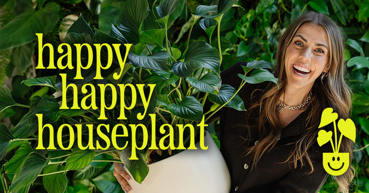 hhhp-social-sharing.jpg?v=1753144016